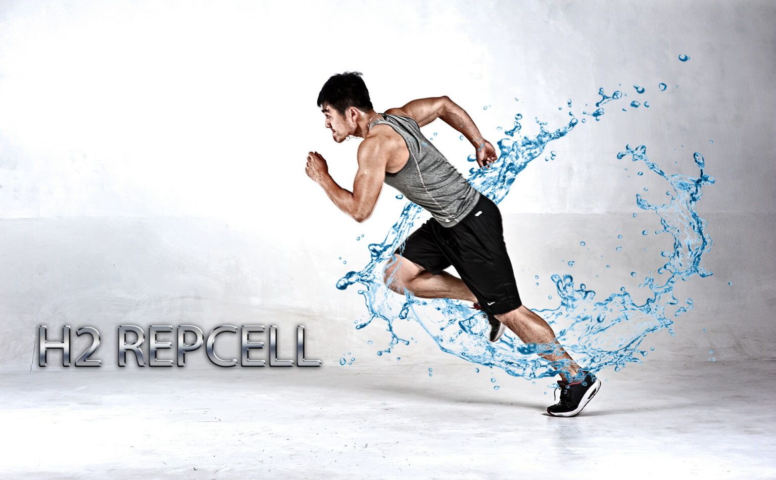 H2 REPCELL